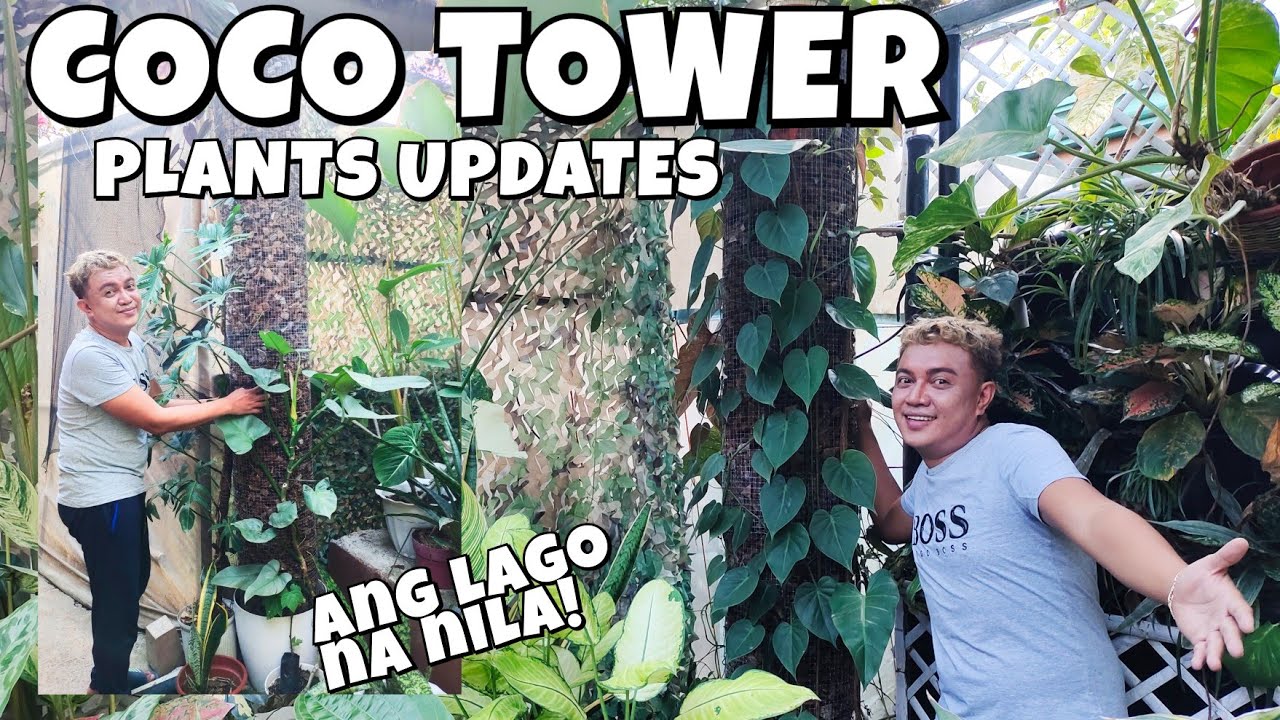 PLANTS IN COCO TOWER UPDATES - YouTube