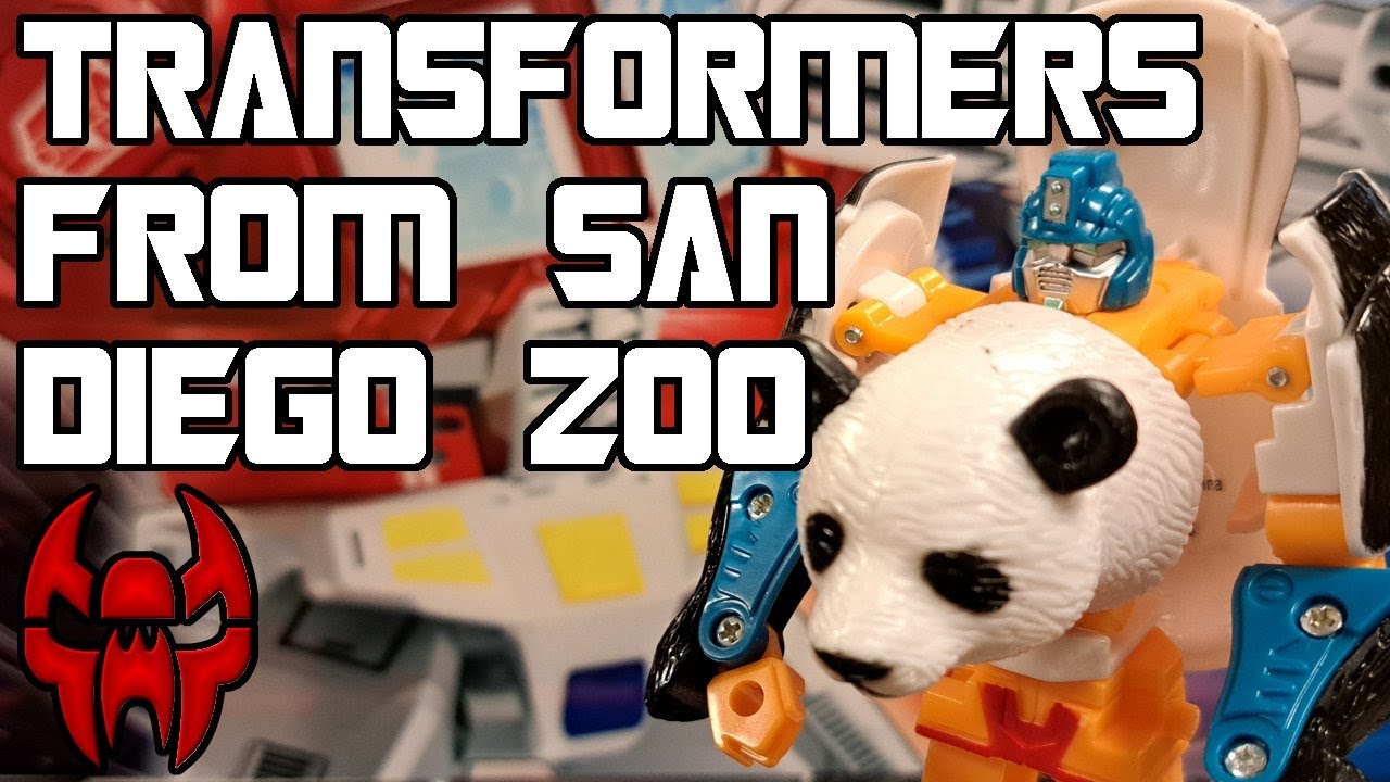 "Transformers" From The San Diego Zoo - YouTube