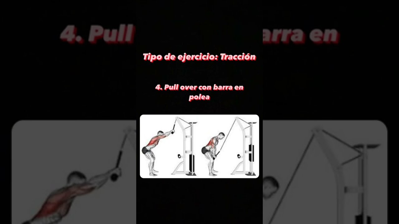 A guía fit- Pull over con barra en polea- Tracción - YouTube
