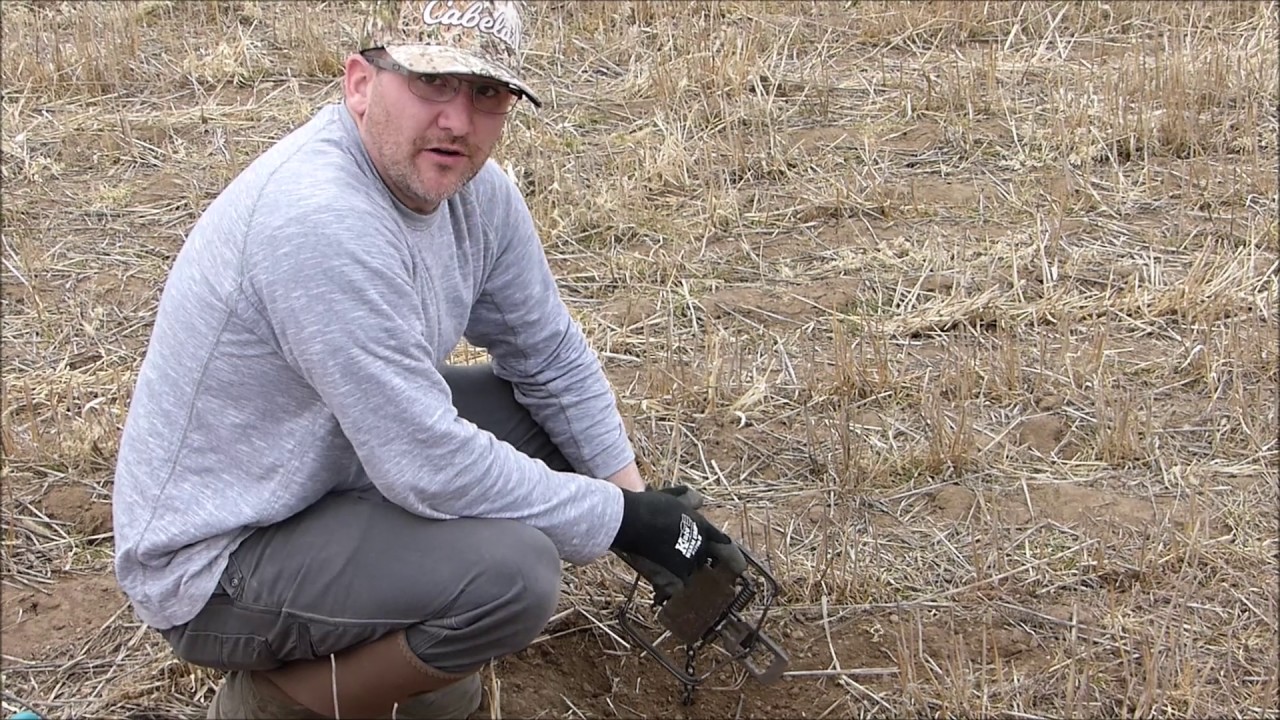 HOW TO SET A FLAT SET TRAP - YouTube