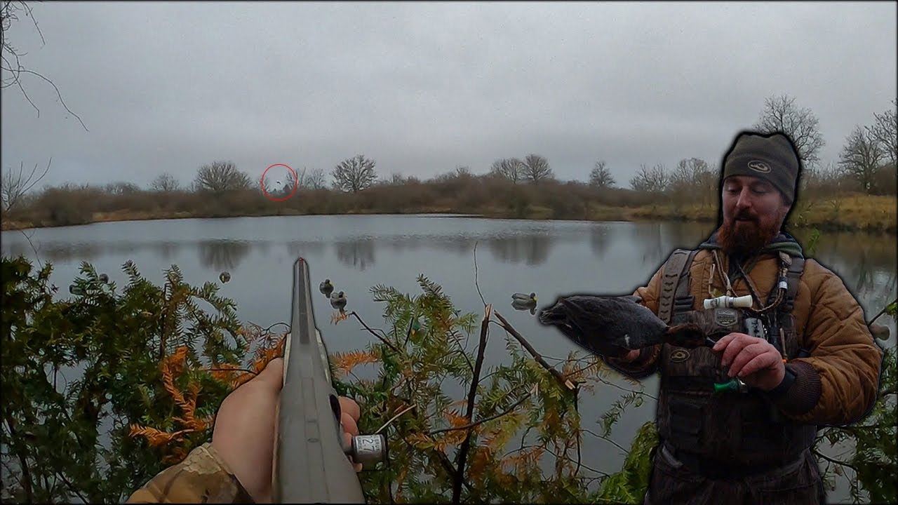 Duck Hunting MY FARM PONDS (CATCH CLEAN COOK) - YouTube
