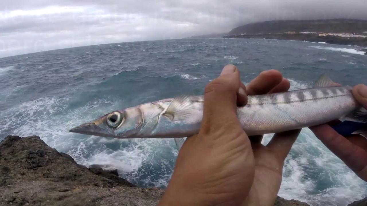 Capturas de Bicudas pequeñas a spinning - YouTube