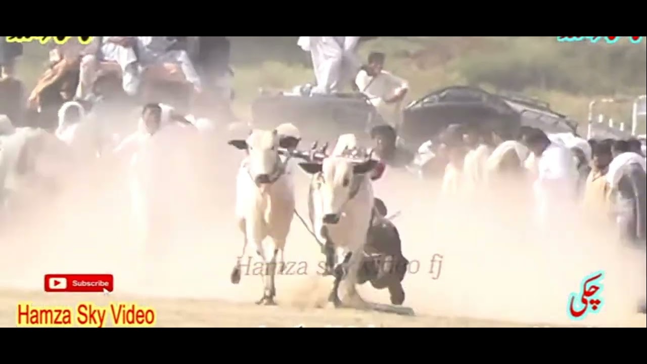 jalsa 5.1.2023 hasanpur sawar haji shezad gorla sharif QIBLABANDI BULLS ...