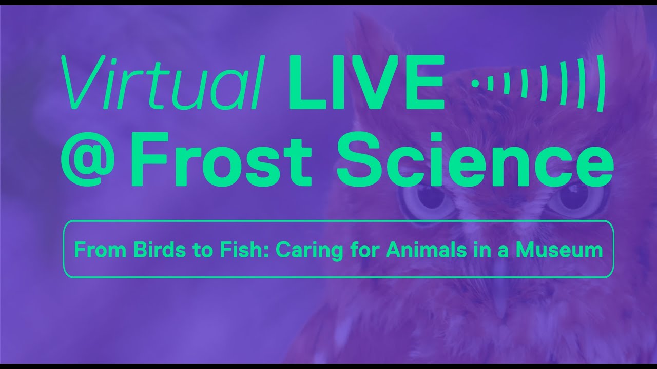 Virtual LIVE@Frost Science - From Birds to Fish: Caring for Animals in ...