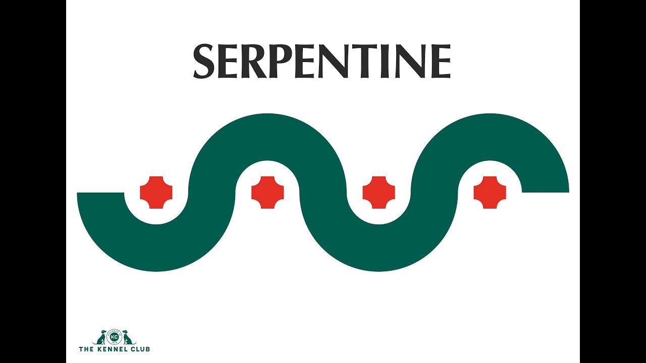 Exercise 22: Serpentine - YouTube
