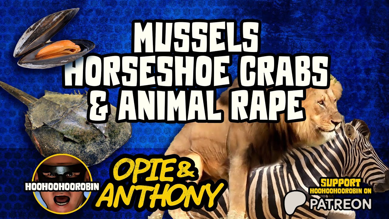 Opie & Anthony - Mussels, Horseshoe Crabs, and Animal Rape - June 2011 ...
