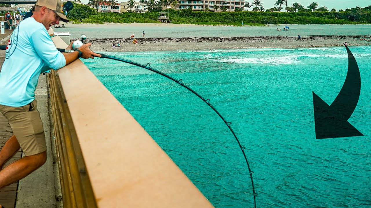 BATTLING PIER GIANTS! (Juno Pier Fishing) - YouTube