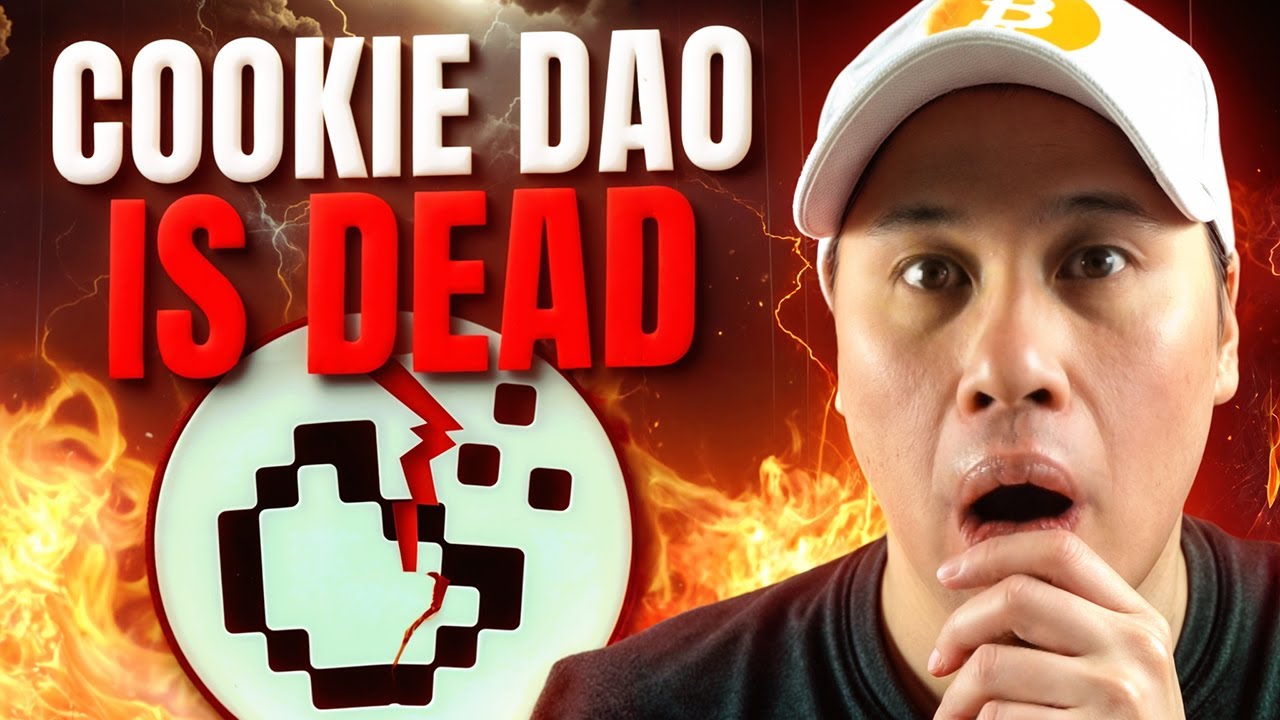 ⚠️WARNING ⚠️ COOKIE DAO IN DANGER: THIS NEW PROJECT COULD KILL IT [URGENT!!!] - YouTube