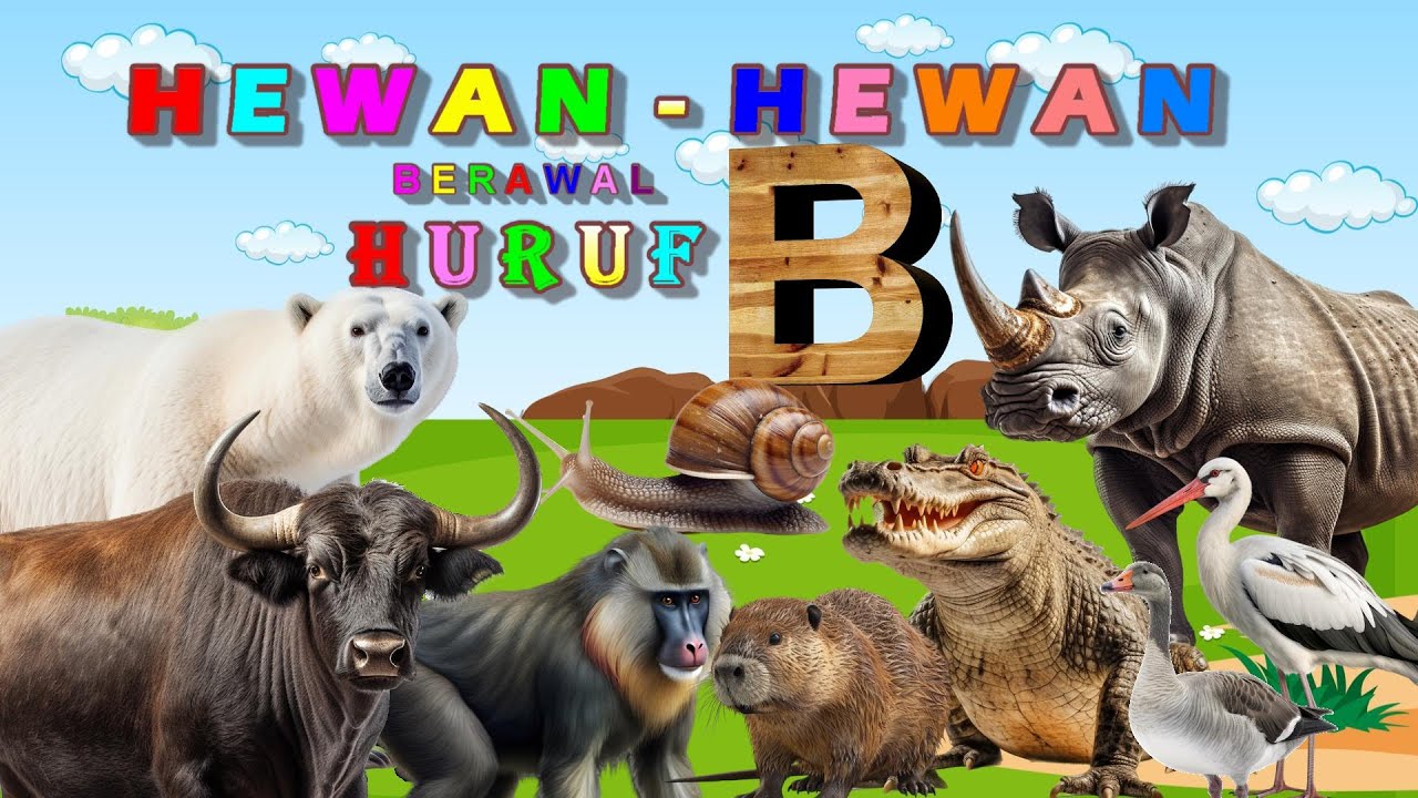 BELAJAR MENGENAL NAMA HEWAN BERAWALAN HURUF B |NAMA HEWAN, SUARA HEWAN ...