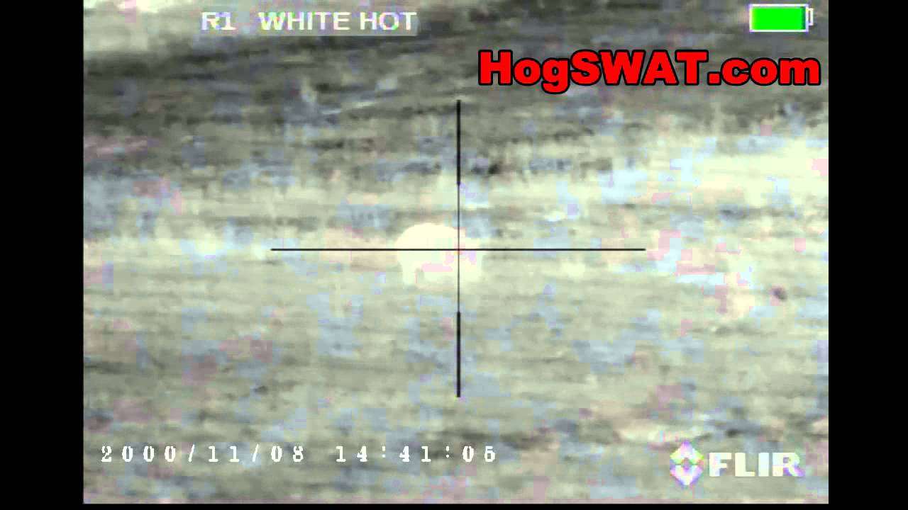 HogSWAT Thermal Tactical Hog Hunting - YouTube