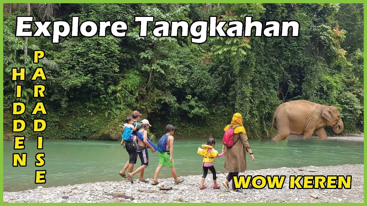 Exploring Tangkahan Langkat SUMUT - YouTube