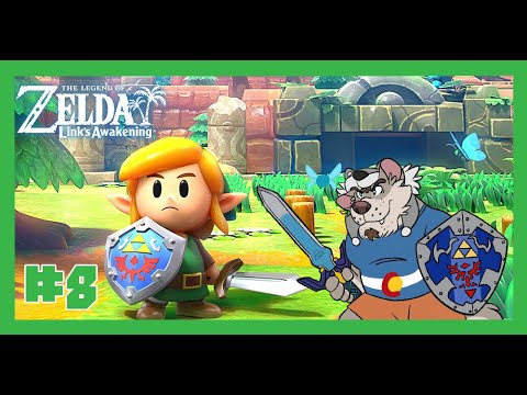 Legend of Zelda: Link's Awakening | Episode 8 — The Mysterious Pink ...