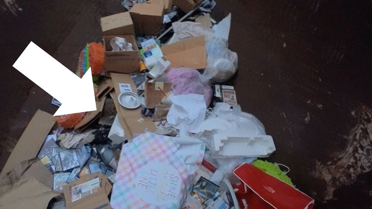 Dumpster Diving with a RACCOON!! - YouTube
