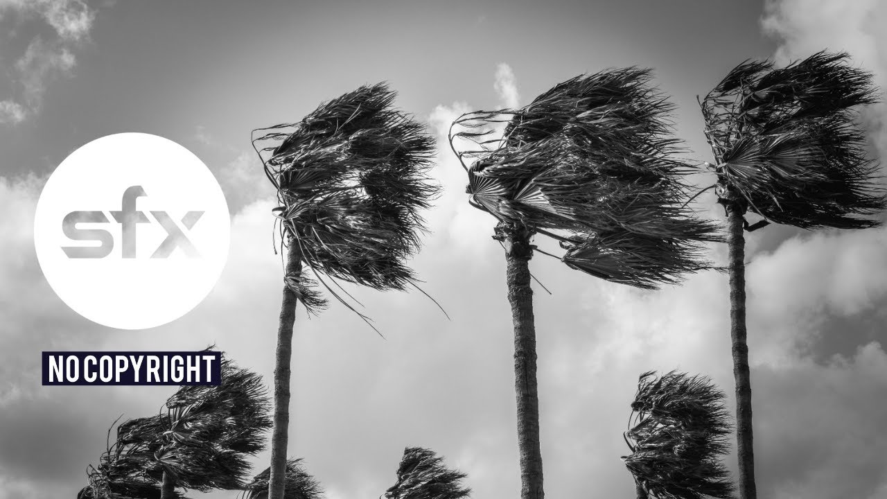 Free download suara hembusan suara angin kencang no copyright - YouTube