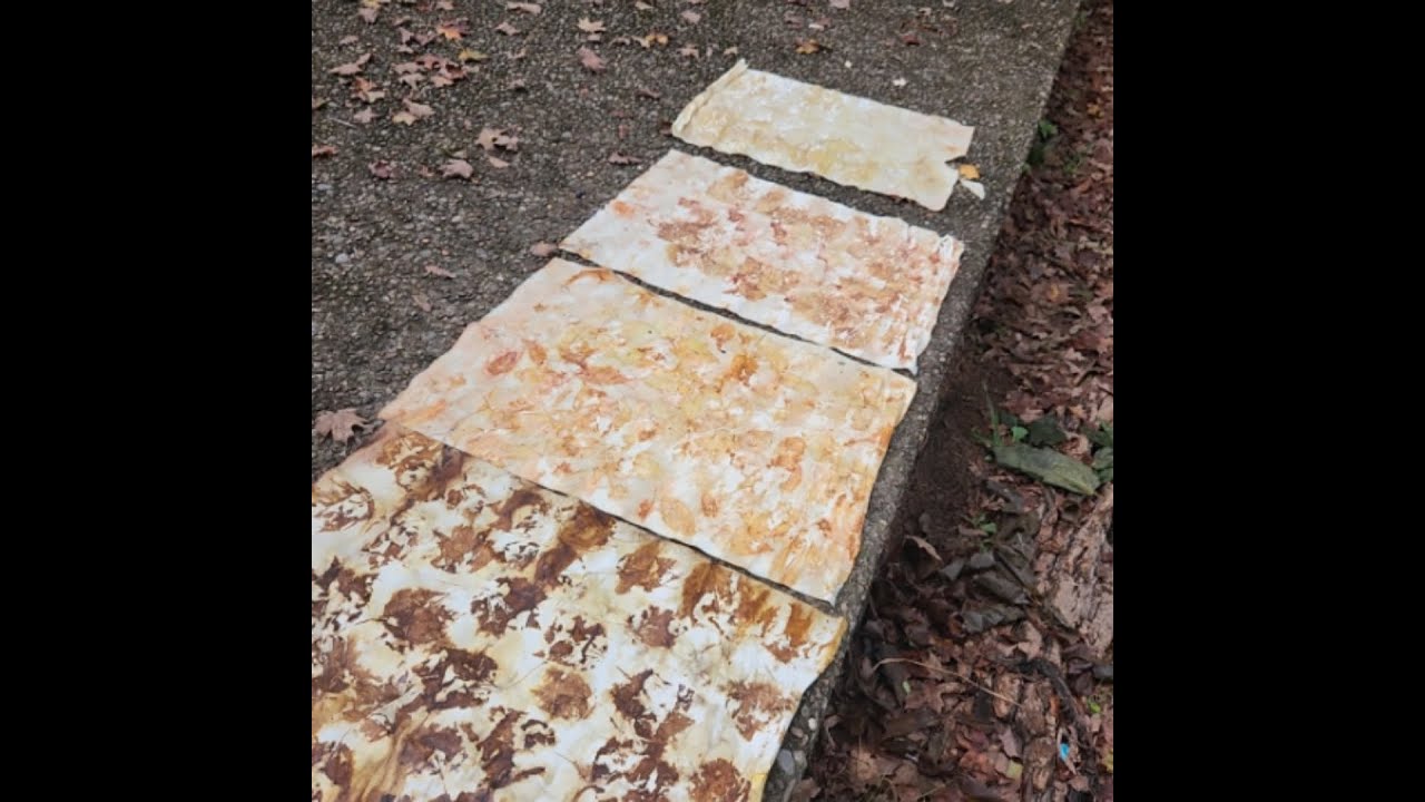 Eco-printing with tree leaves on paper - YouTube