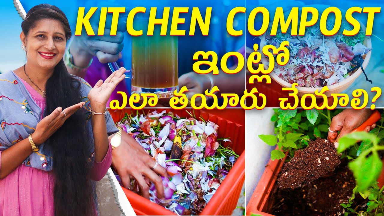 🔴 How to Make Kitchen Compost at Home | Easy Composting for Beginners ...