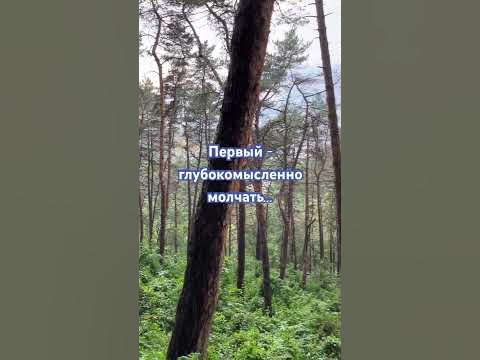 Сокровища Валькирии. Стоящий у солнца. Сергей Трофимович Алексеев.# ...