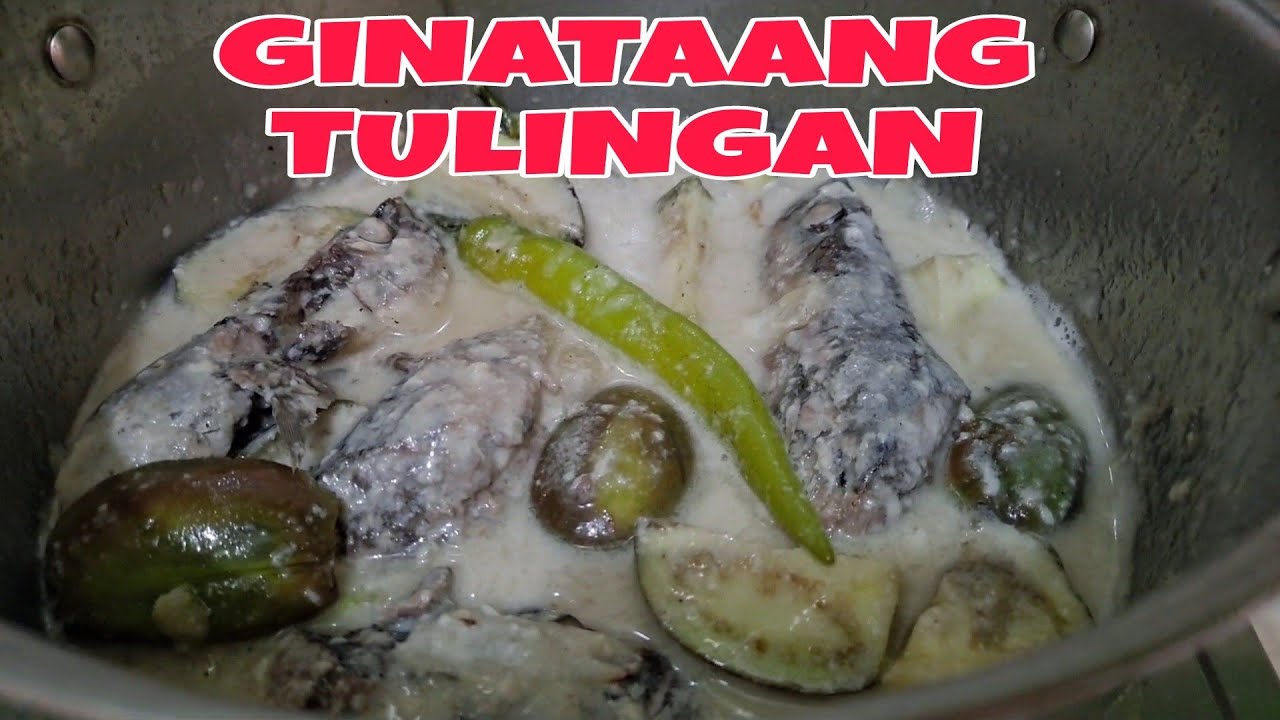 GINATAANG TULINGAN WITH TALONG ANG DALING LUTUIN - YouTube