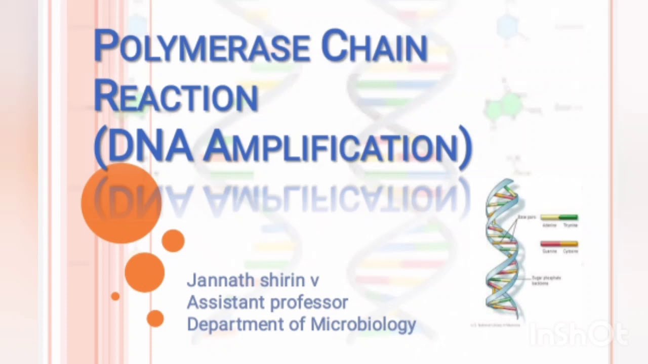 PCR/ Polymerase Chain Reaction/ DNA Amplification - YouTube