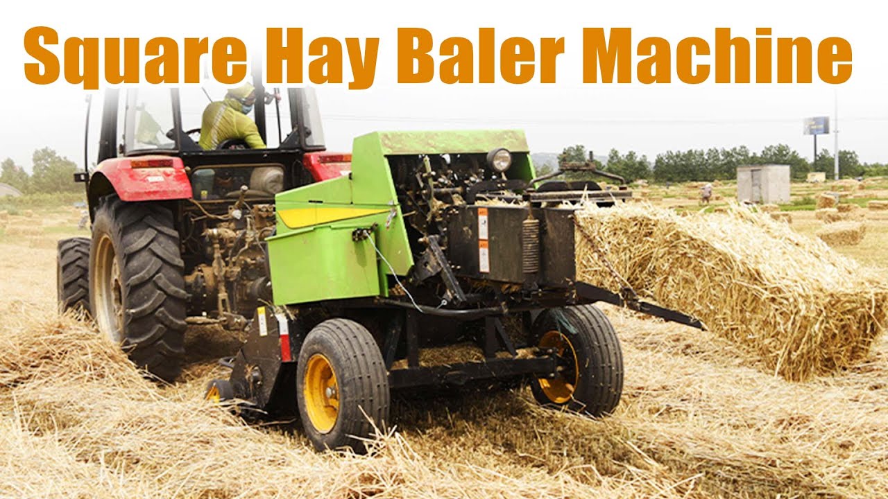 Hay baler for square bales making: picking bundling silage in the field ...