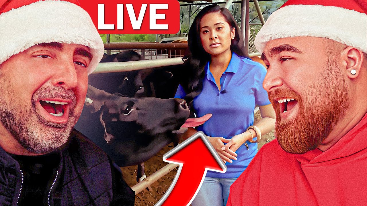 LosPollosTV