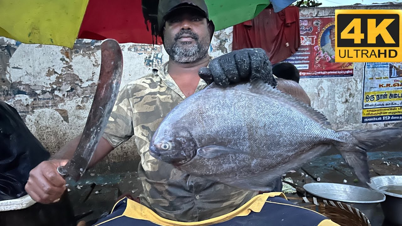 Vavval fish cutting video/fishcuttingrs##kasimedu #fish - YouTube