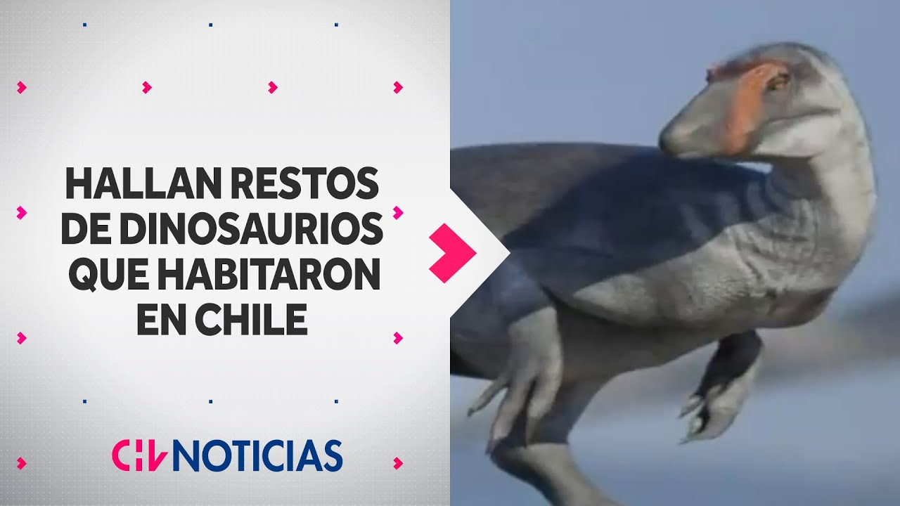 ASÍ ERA EL MEGARAPTOR: Hallan restos de dinosaurios que habitaron en ...