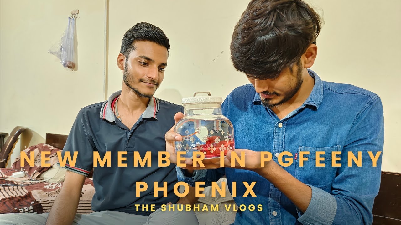 New member in PG Feeny Phoenix || my first pet 🐠 || the shubham vlogs ...