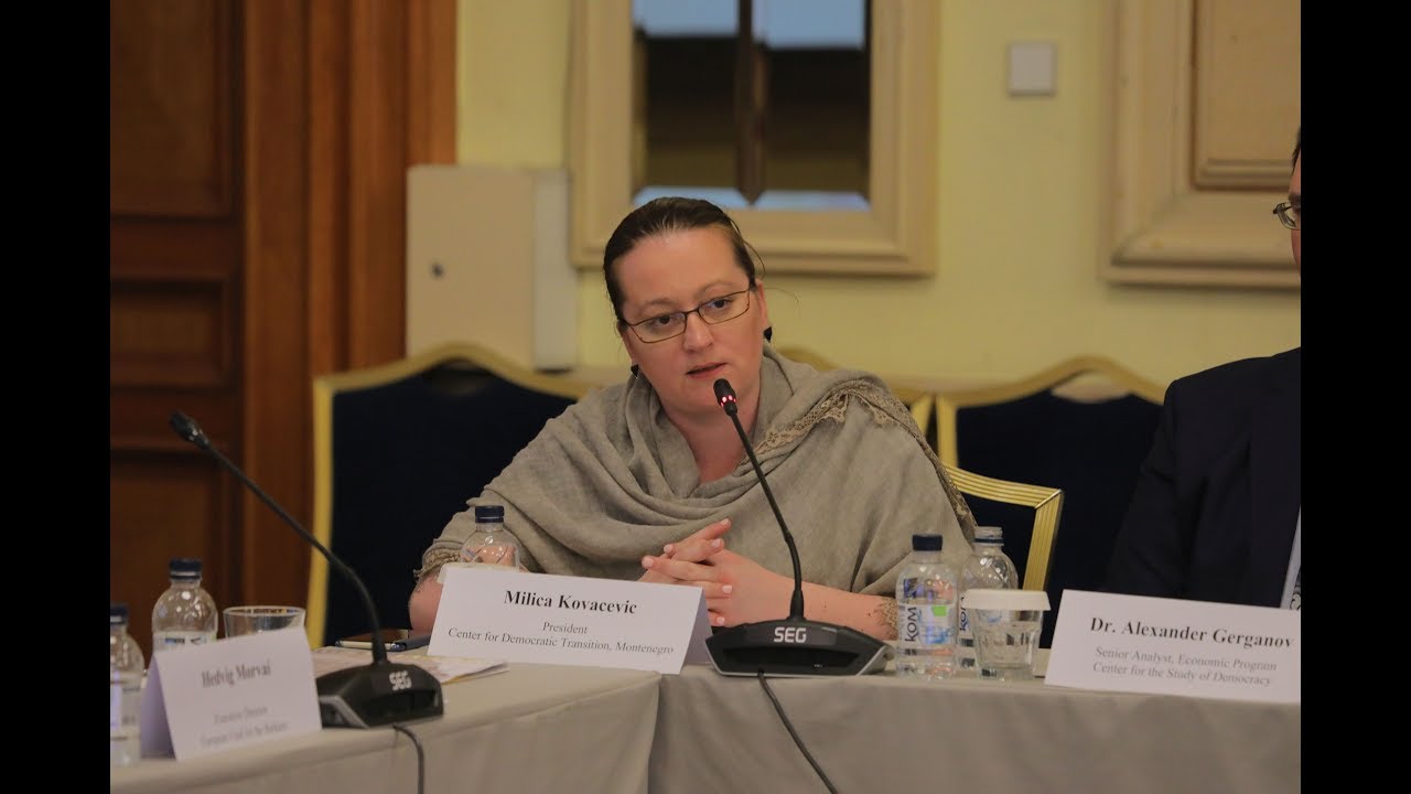 Session 3: Milica Kovacevic, President, Center for Democratic ...
