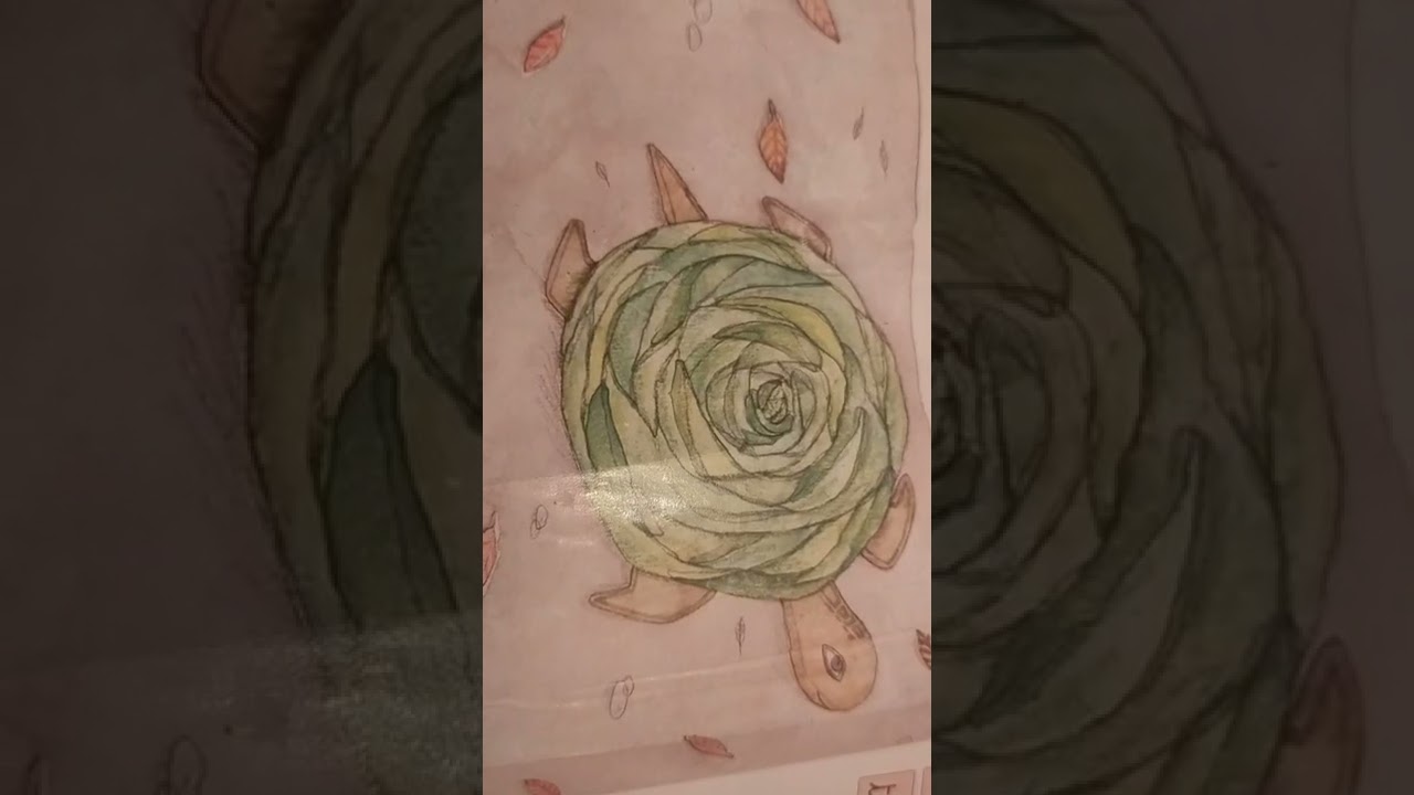 la tortue de Monsieur pointu *chanson* - YouTube