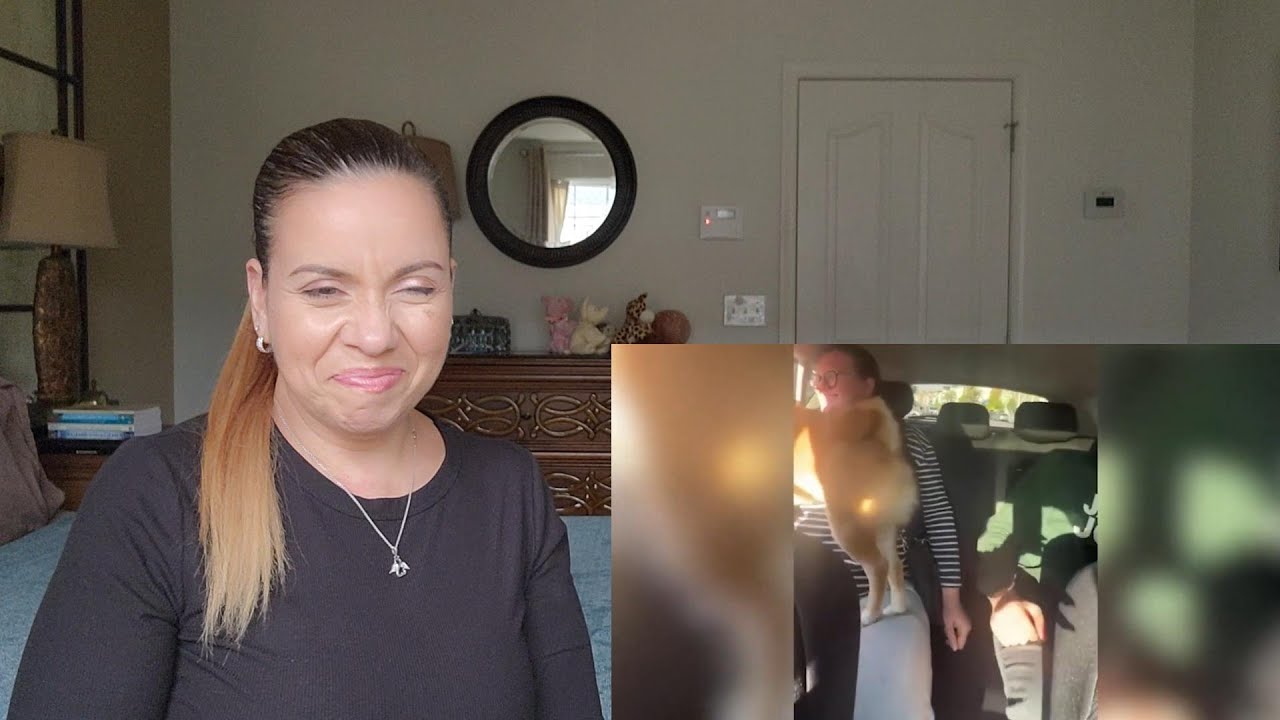 Ultimate Meme Compilation | Funny video memes | REACTION! - YouTube