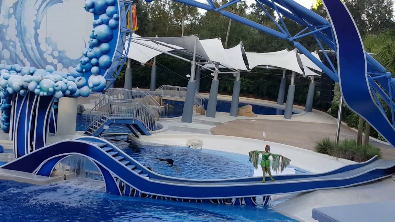 SeaWorld Orlando Blue Horizons Dolphin & Sea Lion Shows - YouTube
