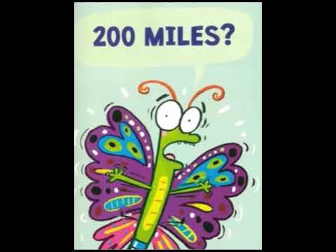 Read Aloud Books For Kids - The Little Butterfly That Could @read-a ...
