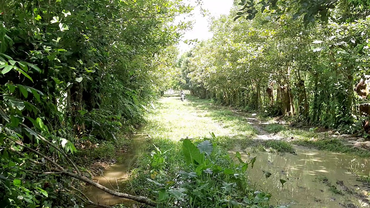 Serpento defender 150 Enduro - YouTube