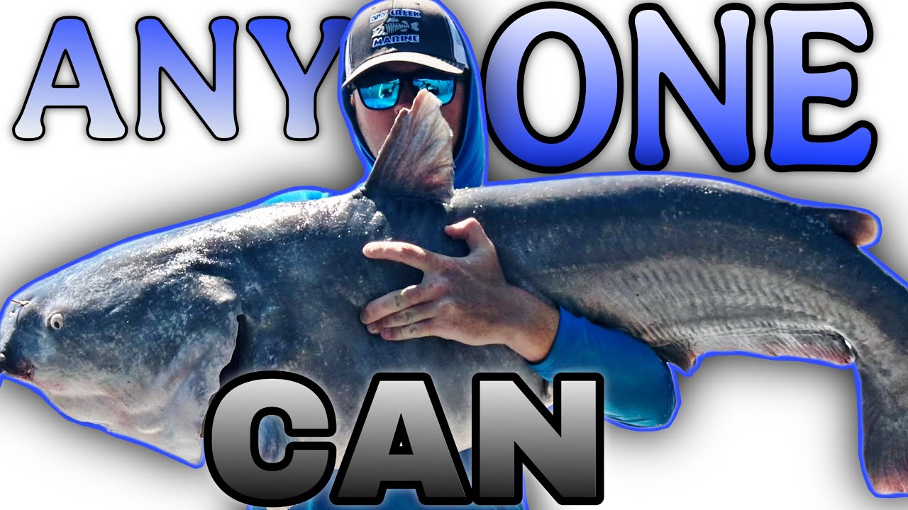 How to Catch an 80 LB Catfish - YouTube