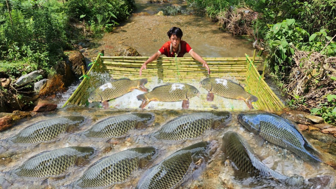 Boy Lam created an ancient fish trap, catching many big fish. - YouTube
