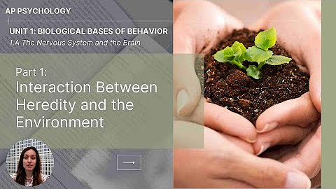 AP Psych: Unit 1 - Biological Bases of Behavior - YouTube