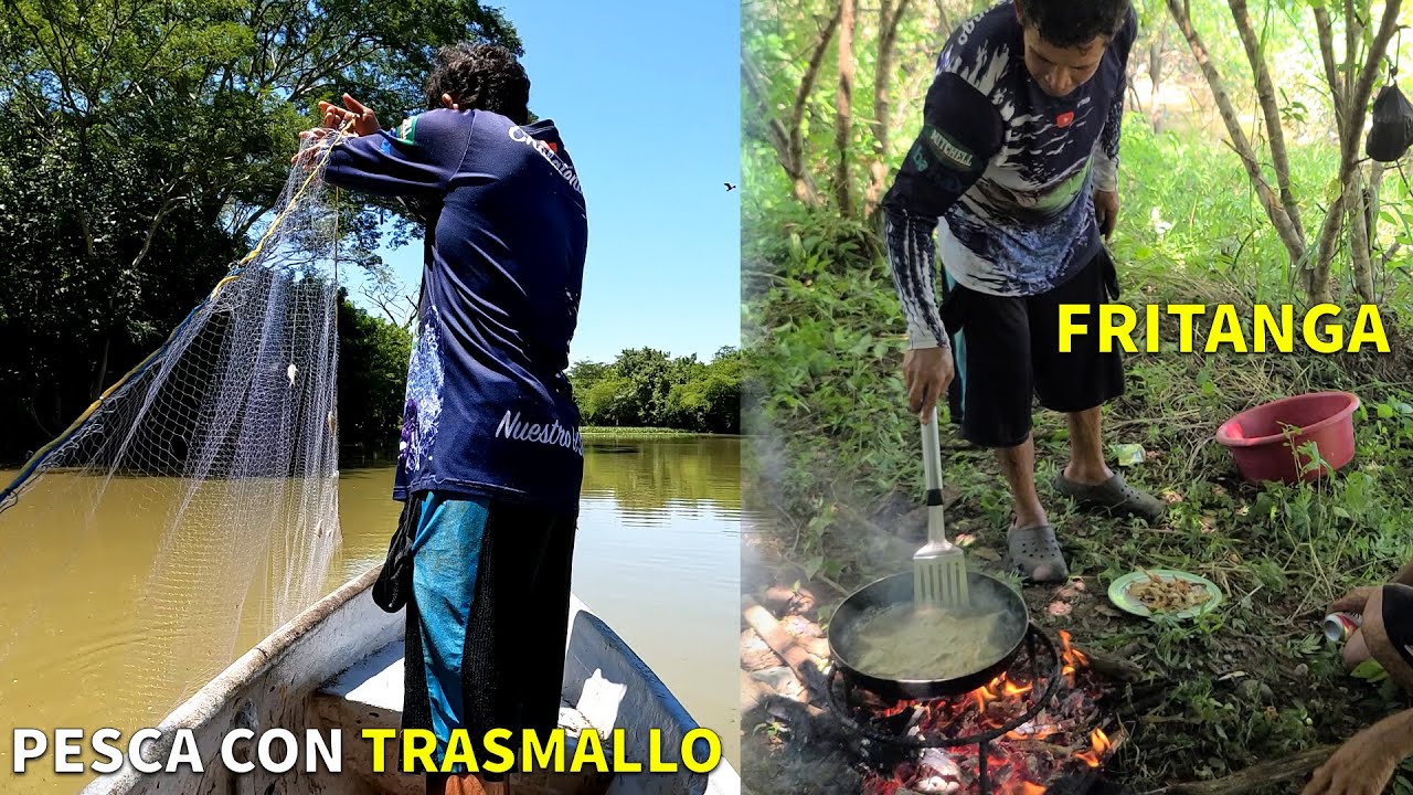 PESCA DE PLATEADAS CON TRASMALLO Y RFRITANGA DE PLATEADAS - YouTube