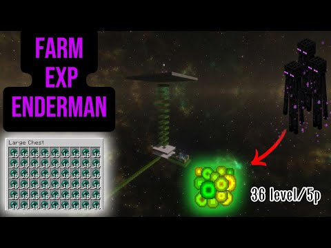 Hướng Dẫn Xây Farm EXP Từ Enderman MINECRAFT JAVA 1.21+