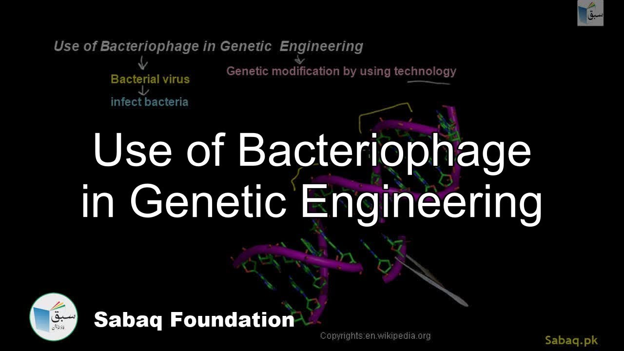 Use of Bacteriophage in Genetic Engineering, Biology Lecture | Sabaq.pk ...