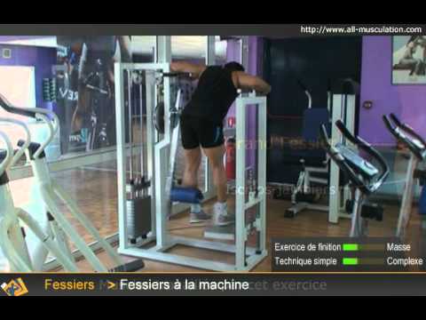 Exercice des fessiers à la machine - YouTube
