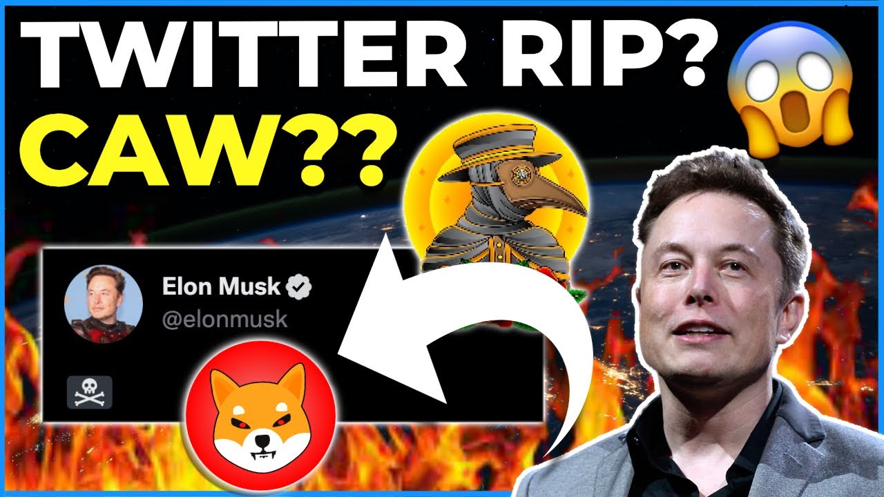 🚨 TWITTER EN PROBLEMAS!!! OPORTUNIDAD PARA CAW? | VITALIK HABLA DE ...