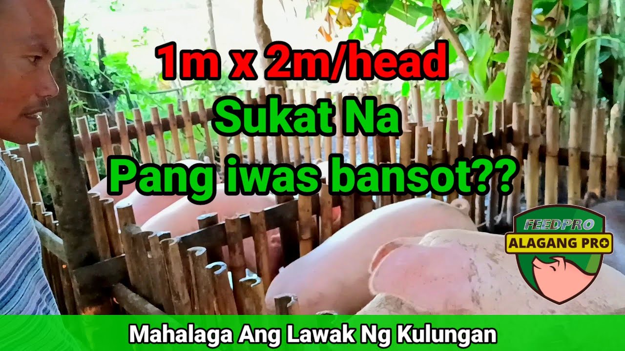 Tamang Sukat Ng Mga Kulungan Ng Baboy - YouTube