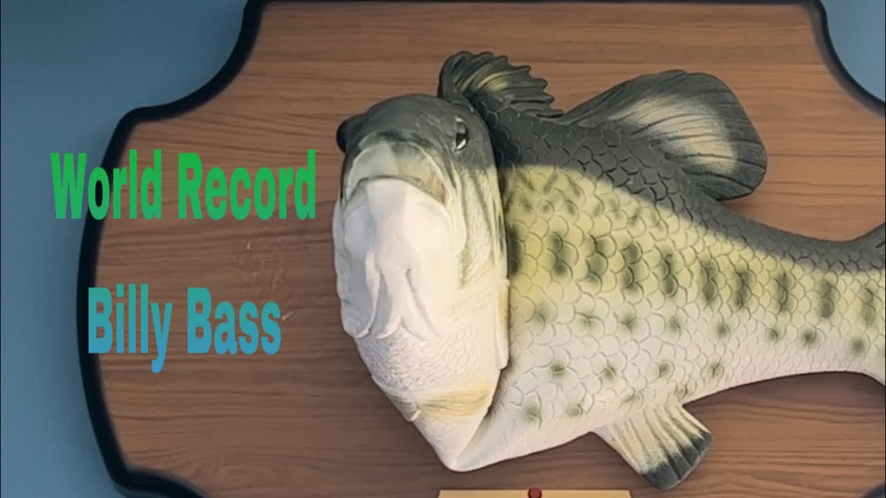 ‘World Record Billy Bass’ Jumbo Size Singing Fish - YouTube