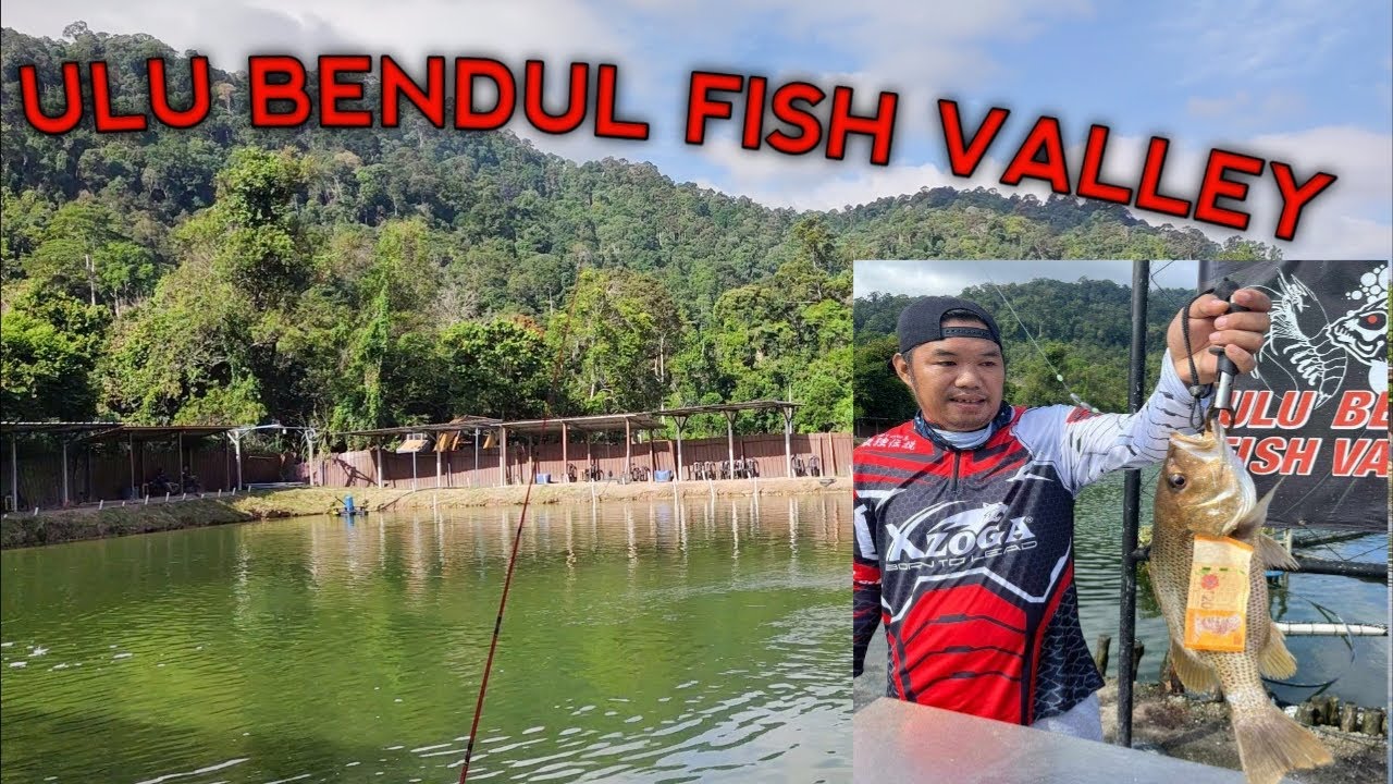 Ulu bendul fish valley - YouTube