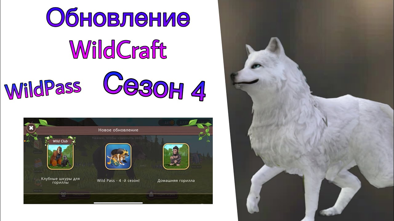 Обновление WildCraft. WildPass сезон 4 - YouTube