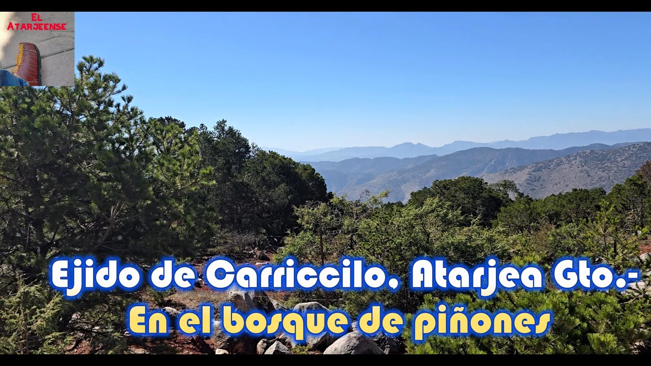 Los Beneficios, El Carricillo, Atarjea, Gto. lugar de bosque hermoso # ...