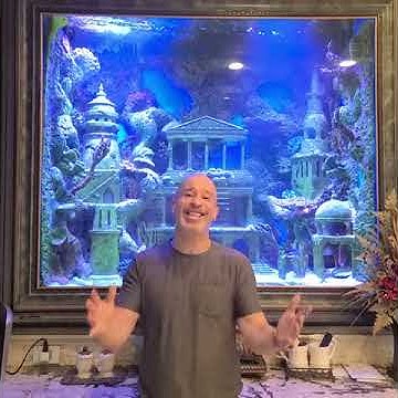 Don't miss Richard Curson Prinsloo and Hein Curson with their team 28 January on Jaca breakfast ...