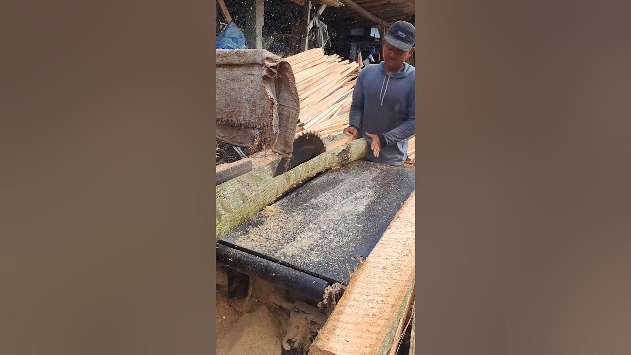 Penggergajian batang kayu waru bsh1 #sawing #woodwork - YouTube