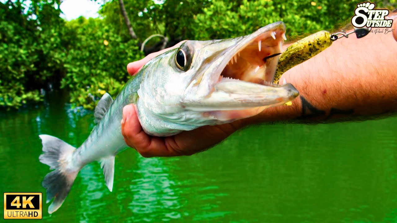Discover the Thrill of Mangrove Jack Fishing | Pro Fishing Tips | Step ...